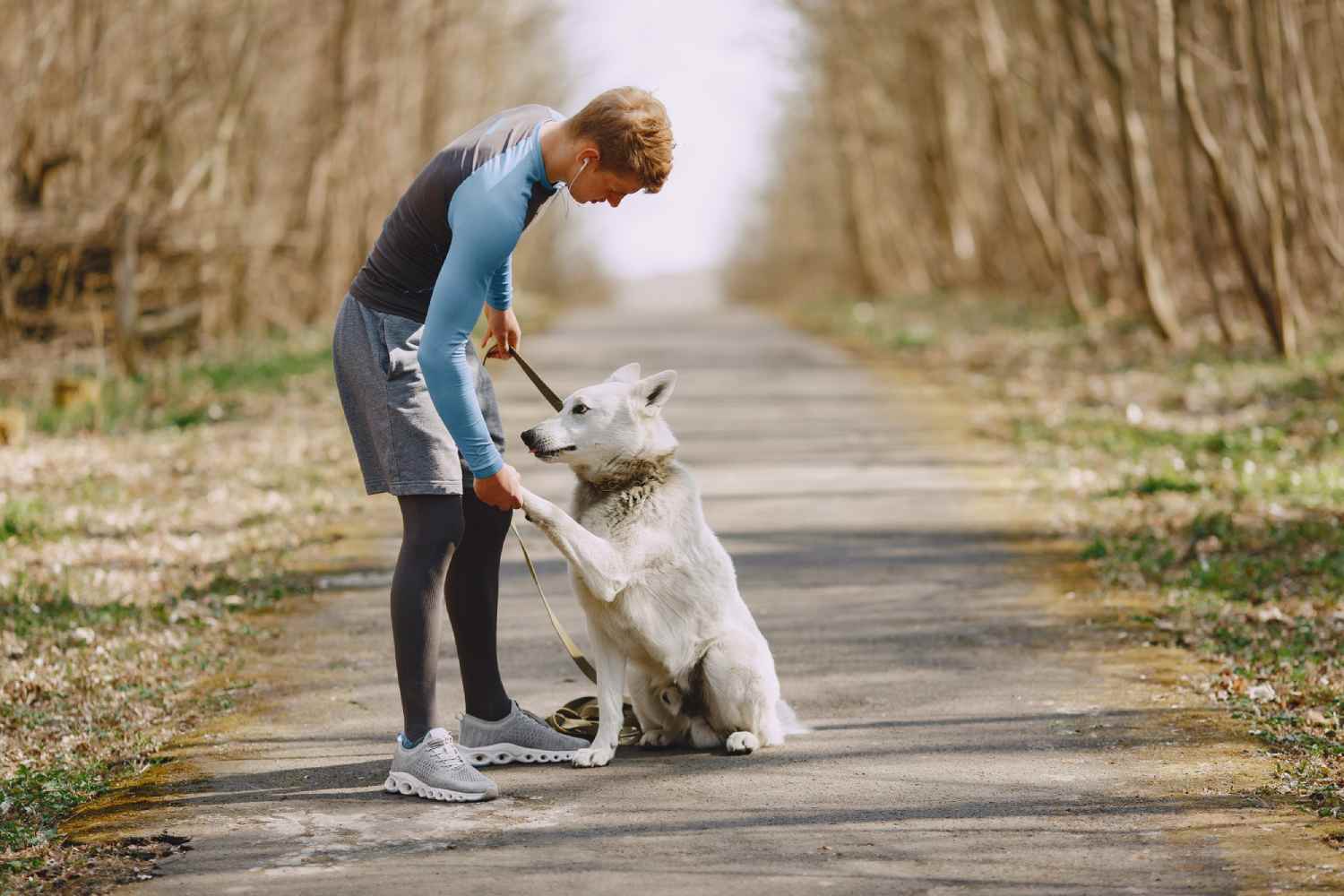Signs of Joint Pain in Dogs: An Early Detection Guide