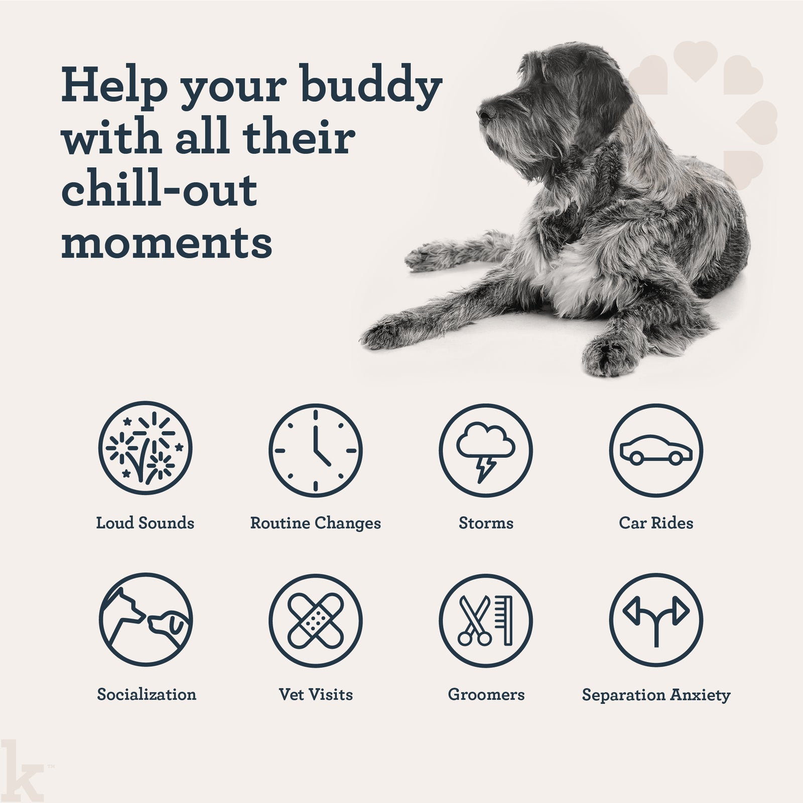 CBD Calming Chews for Dogs | Daily Dog Chews | Kradle